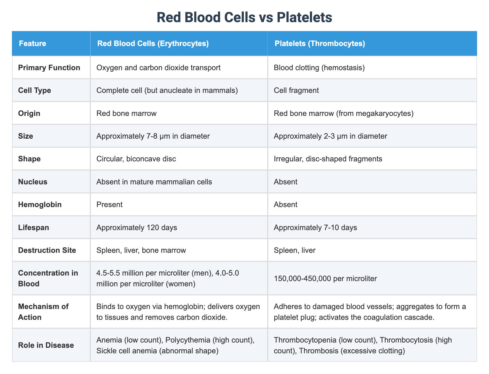 Red Blood Cells vs Platelets