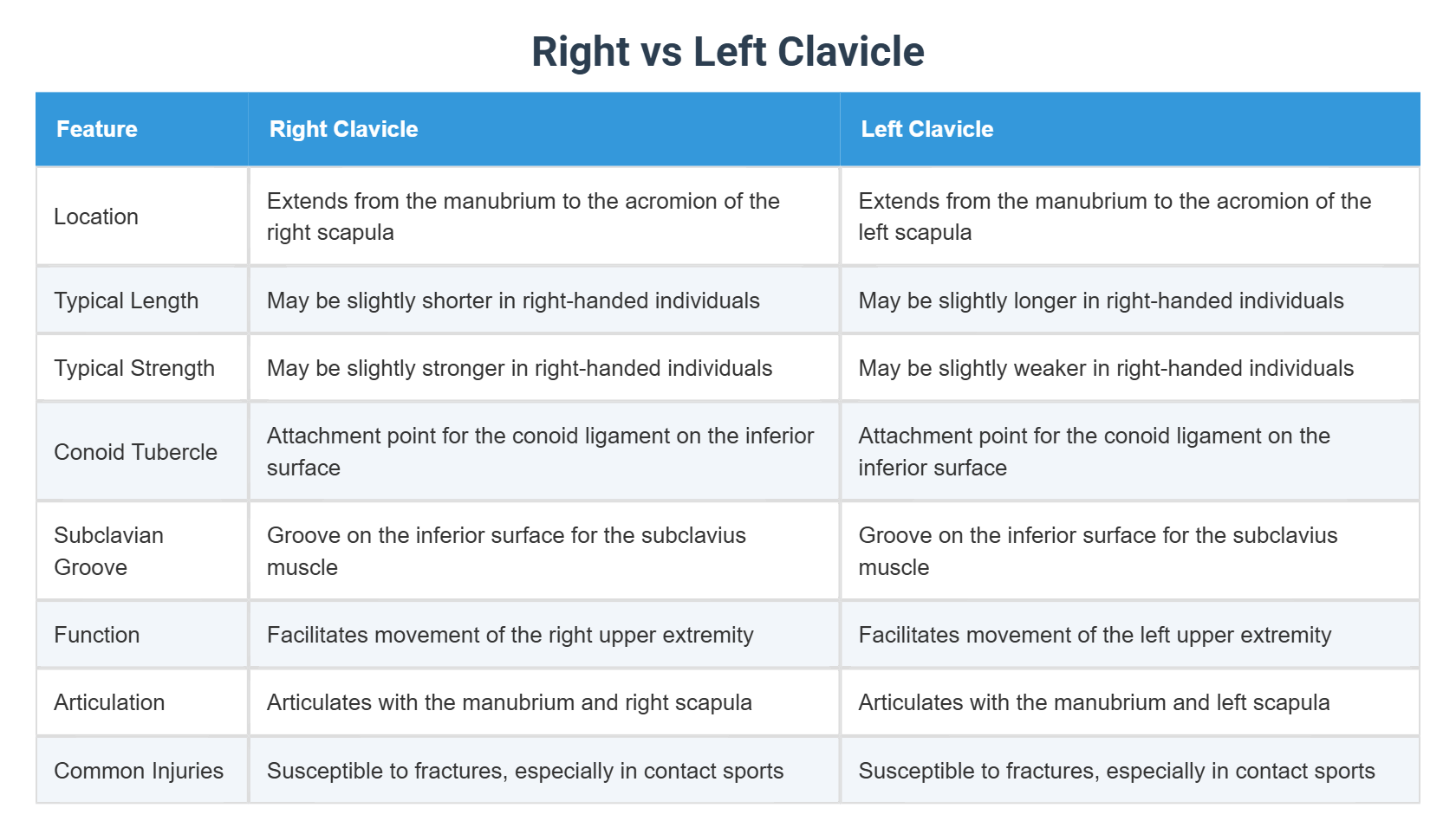 Right vs Left Clavicle