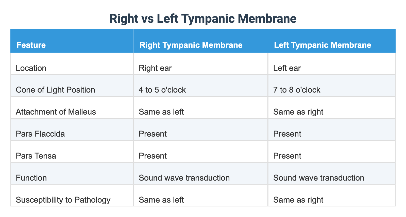 Right vs Left Tympanic Membrane