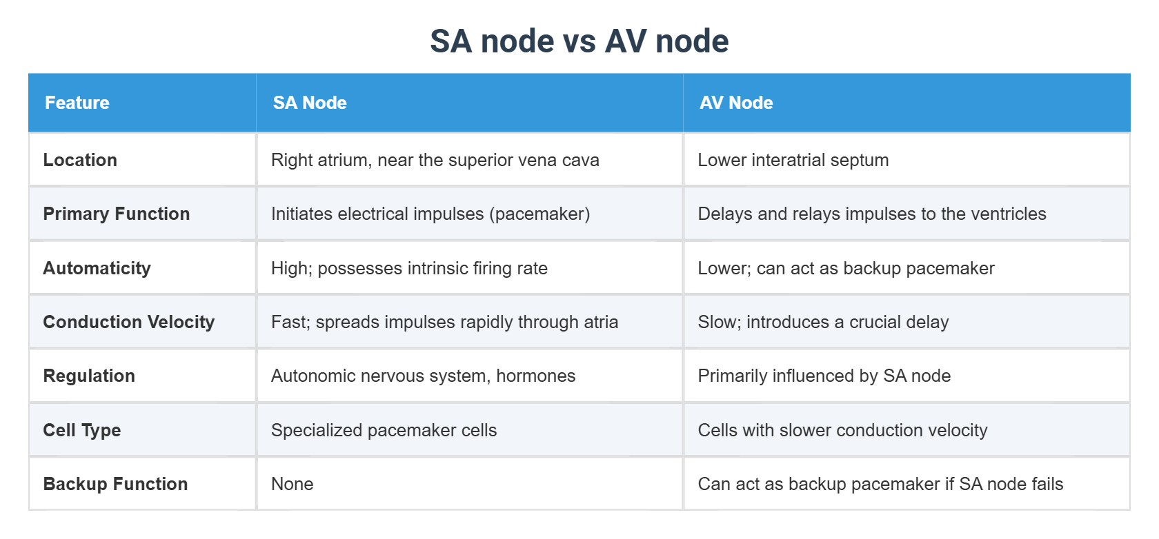 SA node vs AV node