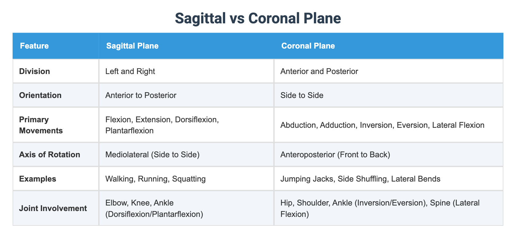Sagittal vs Coronal Plane