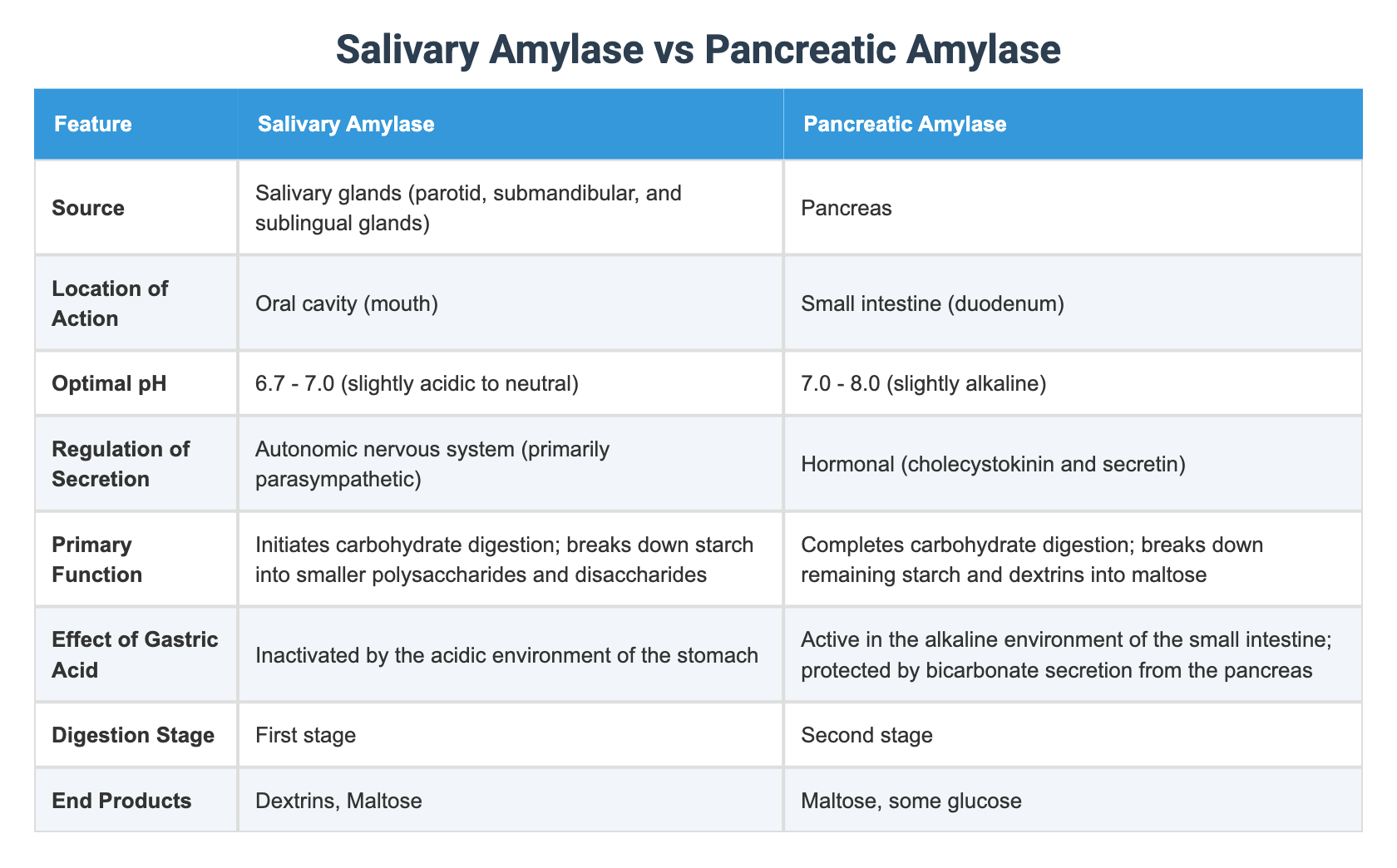 Salivary Amylase vs Pancreatic Amylase