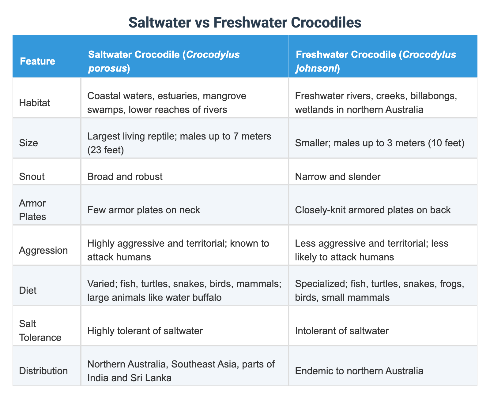 Saltwater vs Freshwater Crocodiles