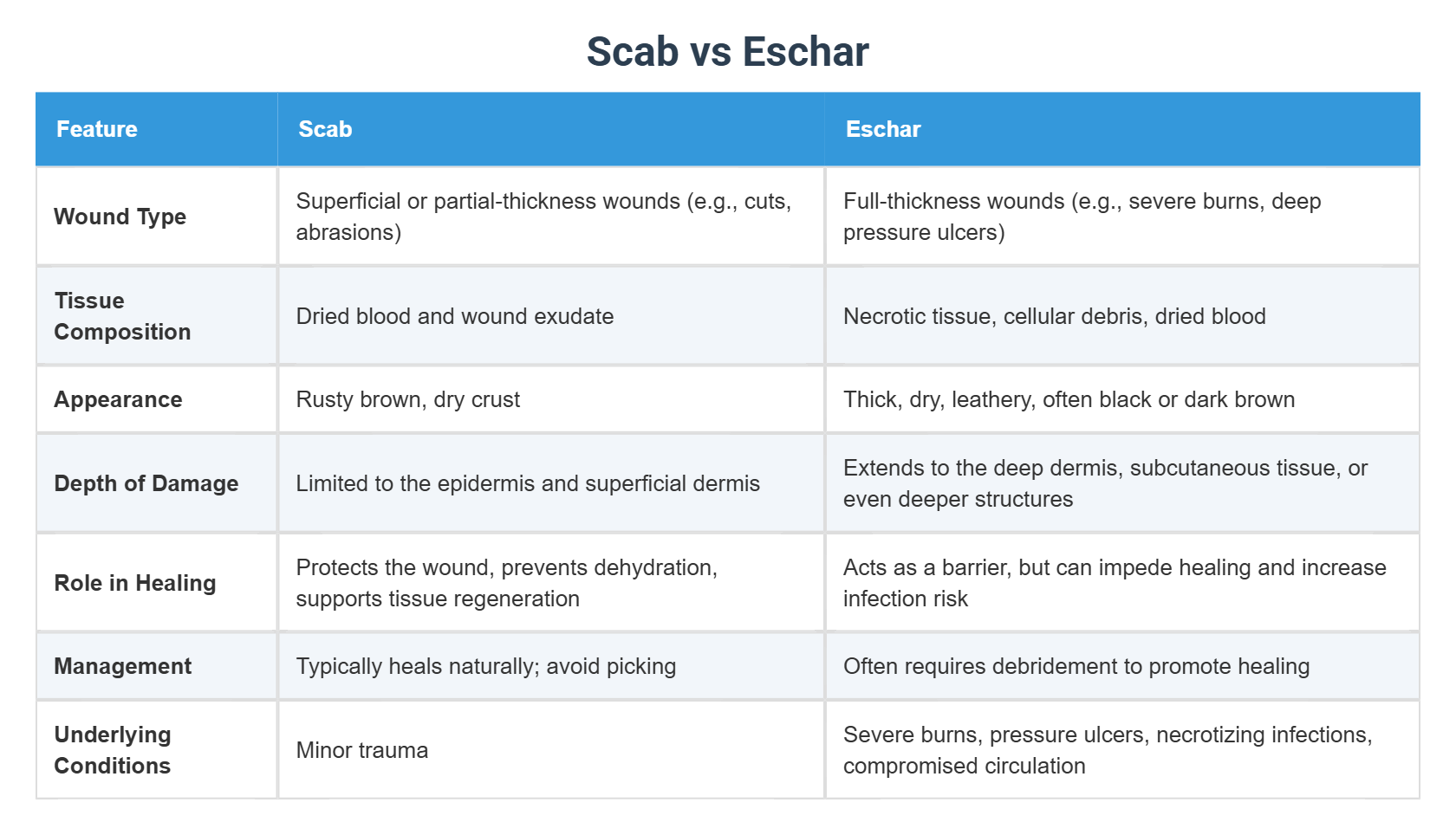 Scab vs Eschar
