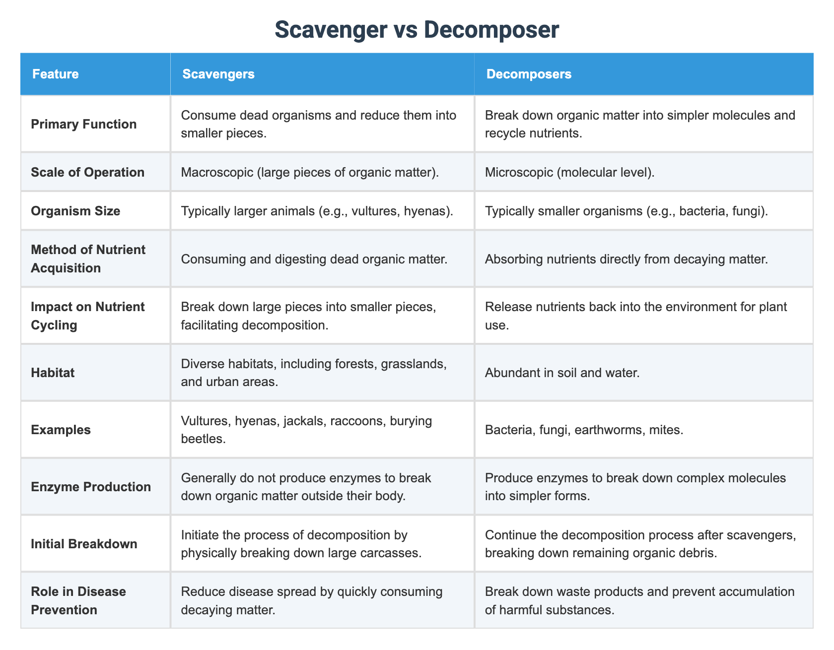 Scavenger vs Decomposer