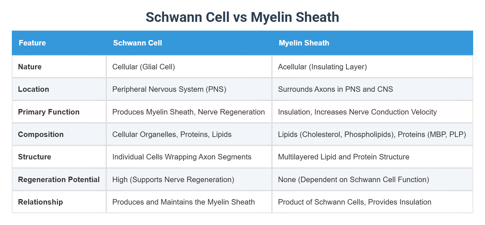 Schwann Cell vs Myelin Sheath