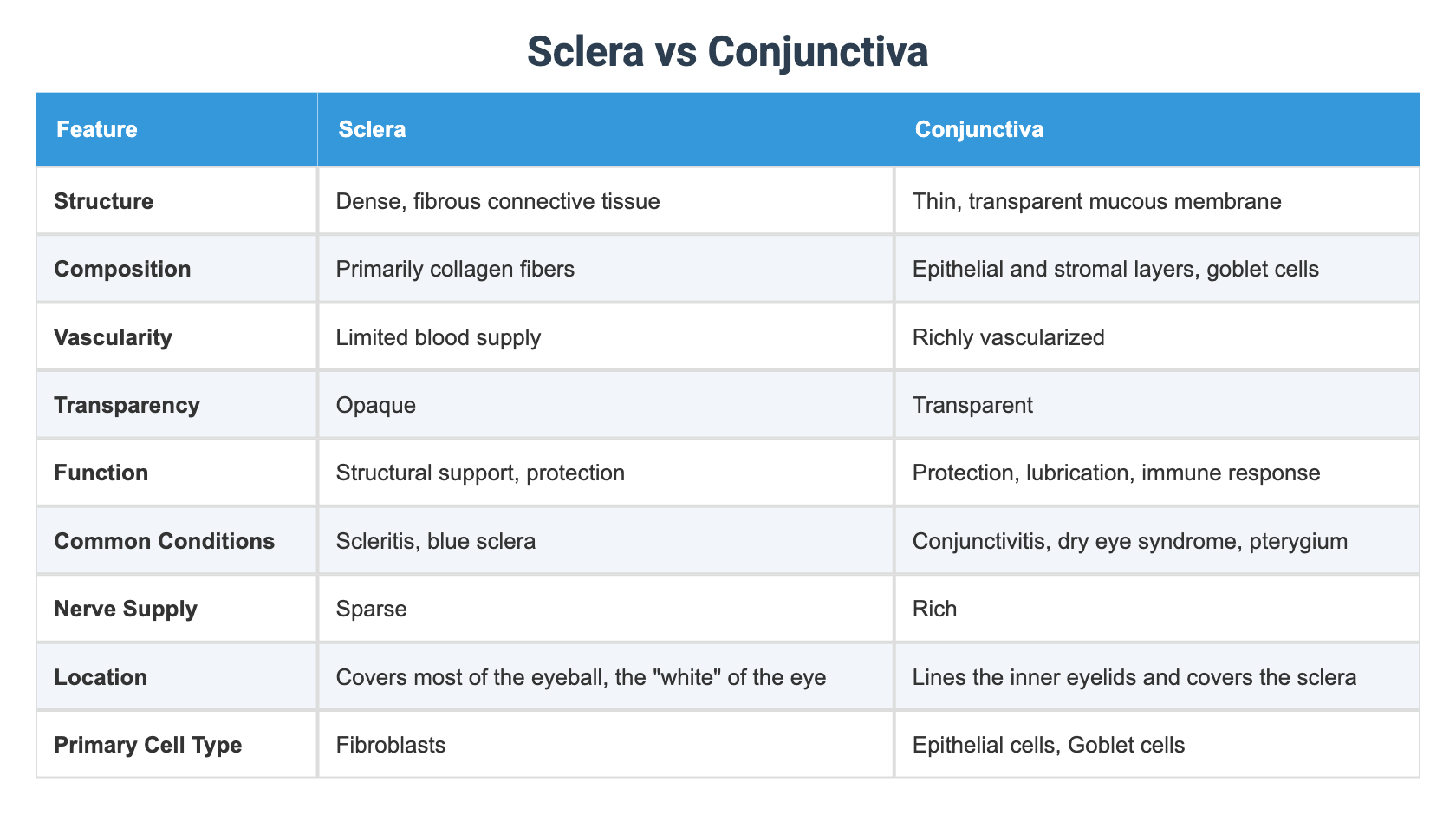 Sclera vs Conjunctiva
