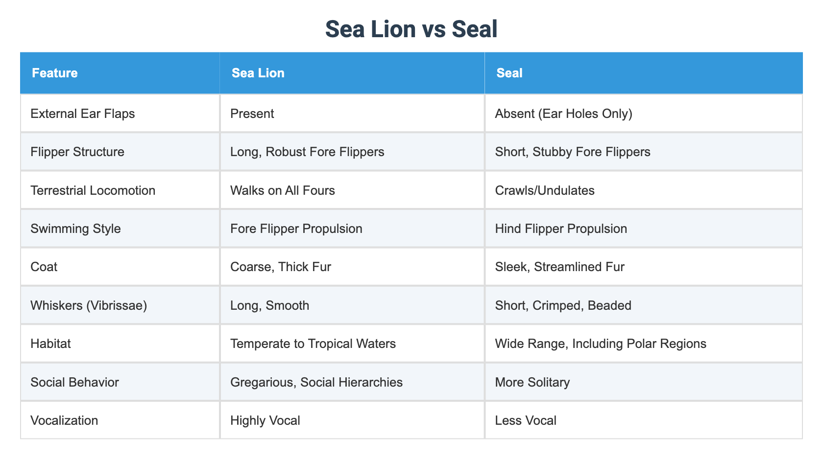Sea Lion vs Seal