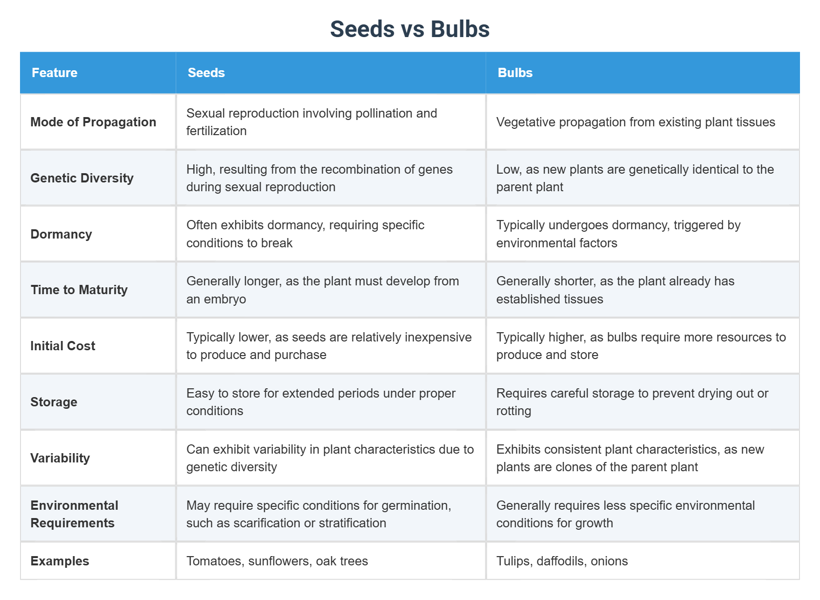 Seeds vs Bulbs