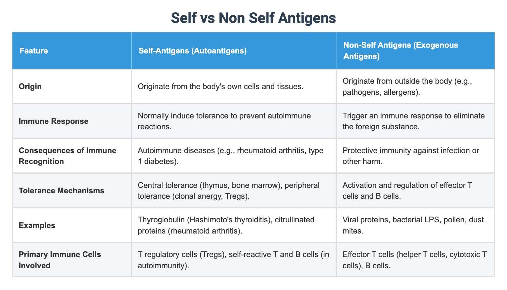 Self vs Non Self Antigens