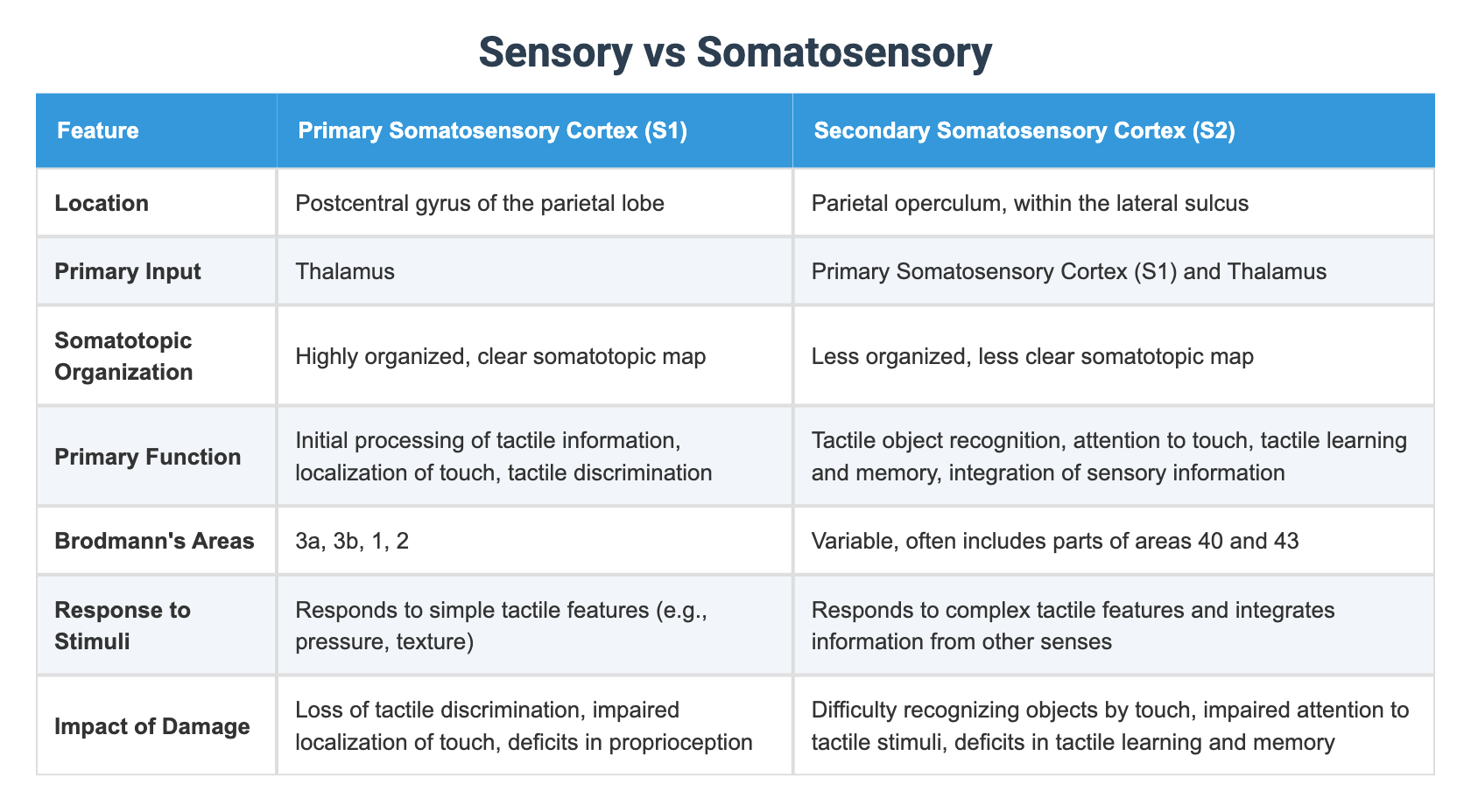 Sensory vs Somatosensory