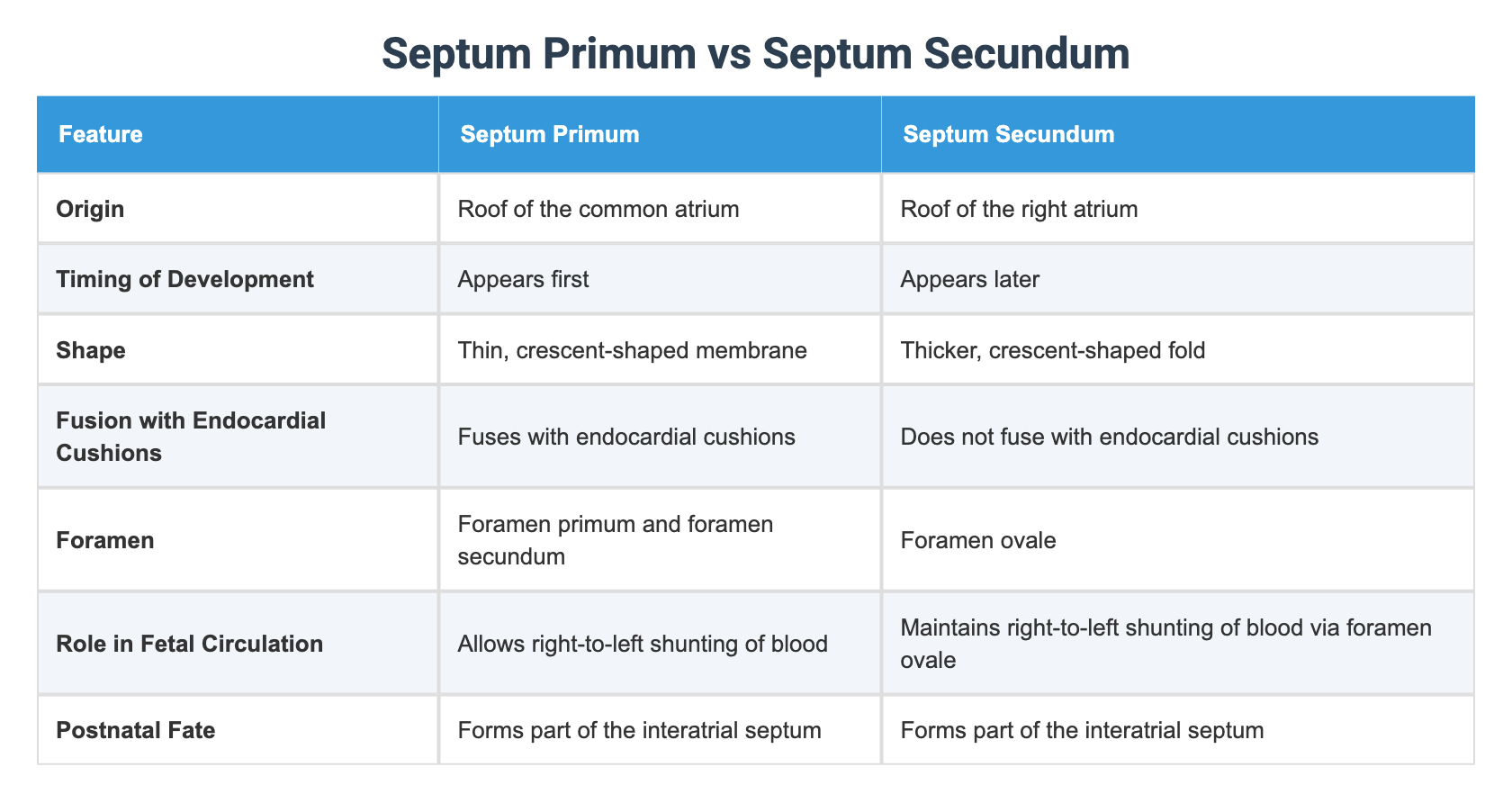 Septum Primum vs Septum Secundum