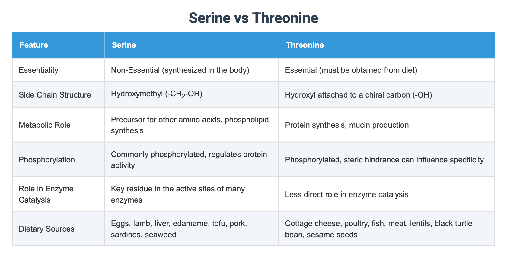 Serine vs Threonine