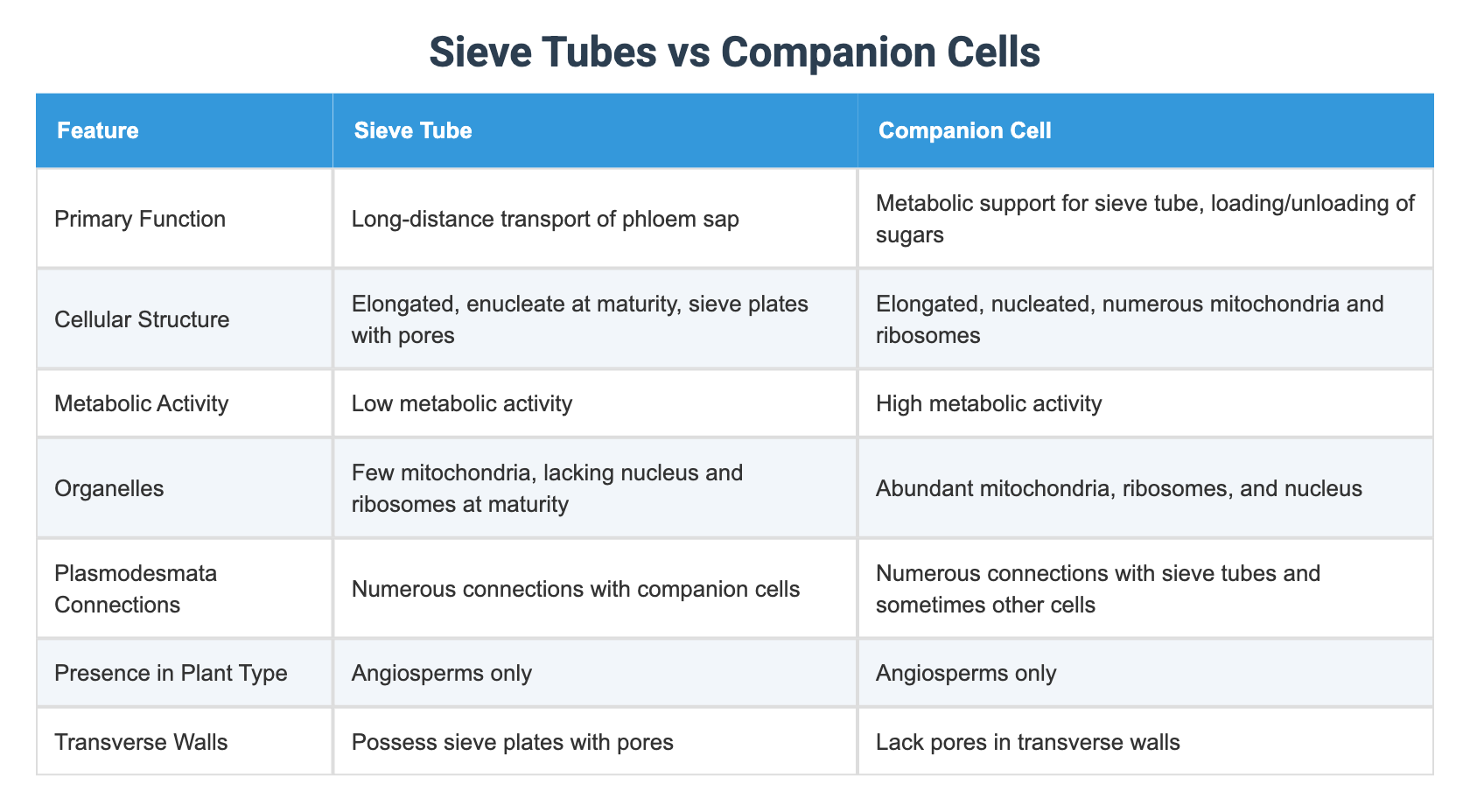 Sieve Tubes vs Companion Cells