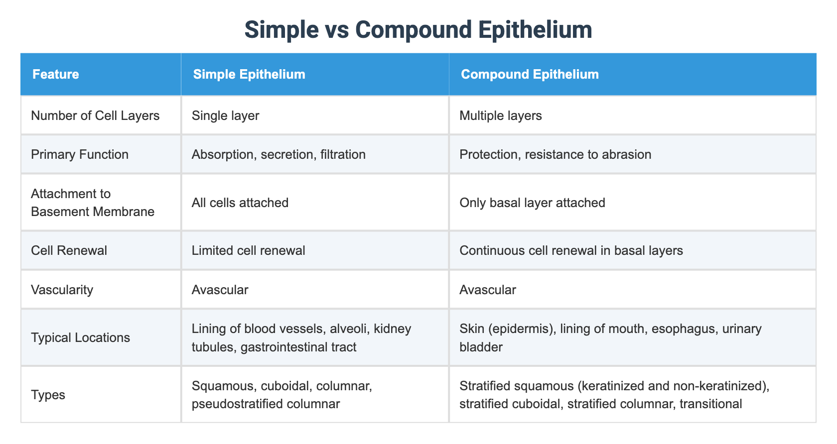Simple vs Compound Epithelium