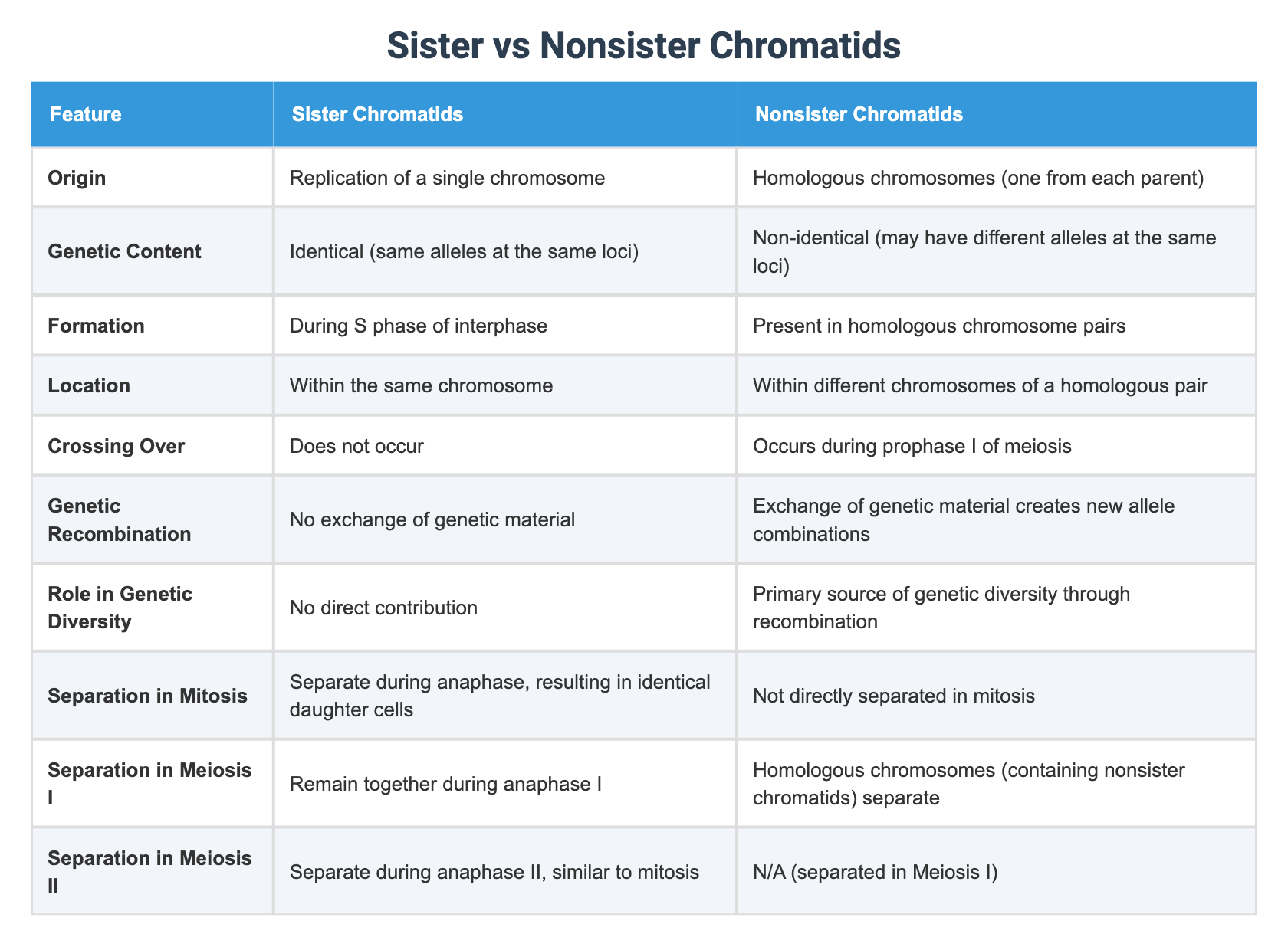 Sister vs Nonsister Chromatids