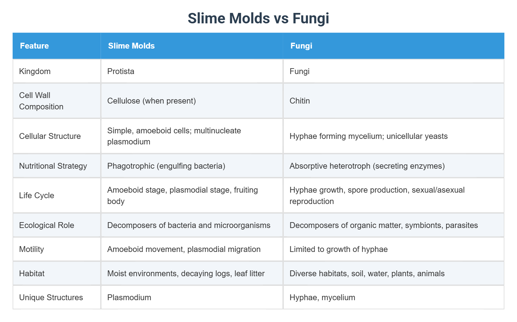 Slime Molds vs Fungi