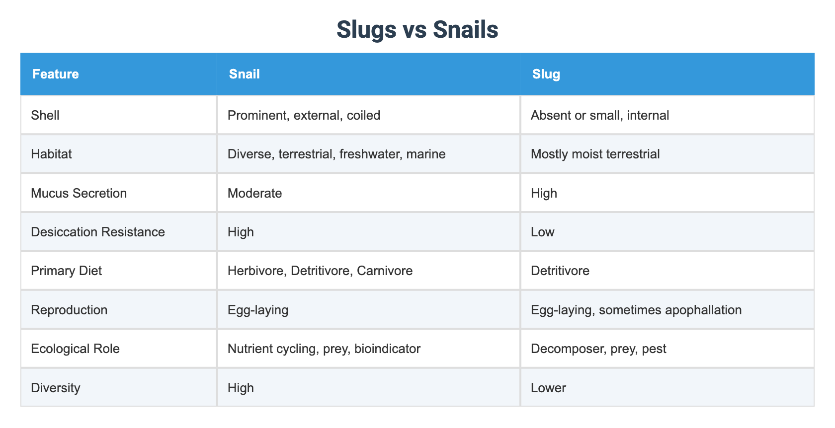 Slugs vs Snails