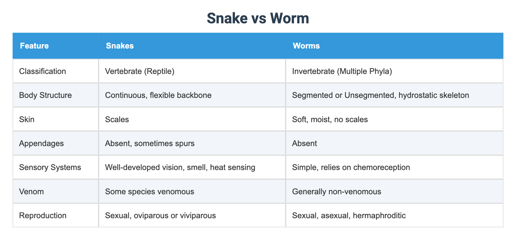 Snake vs Worm