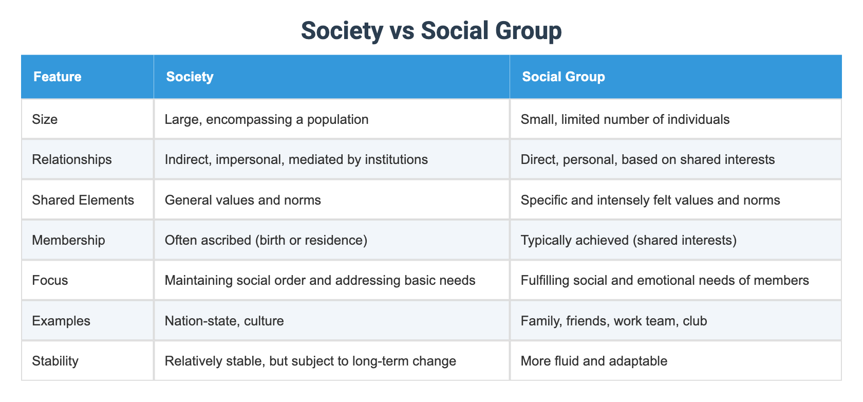 Society vs Social Group
