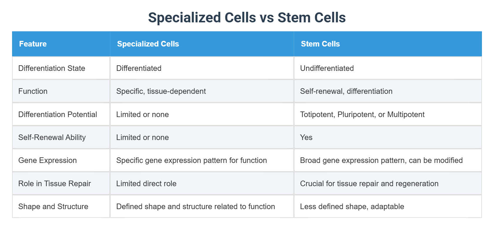 Specialized Cells vs Stem Cells