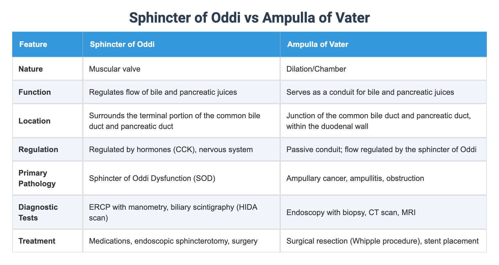 Sphincter of Oddi vs Ampulla of Vater