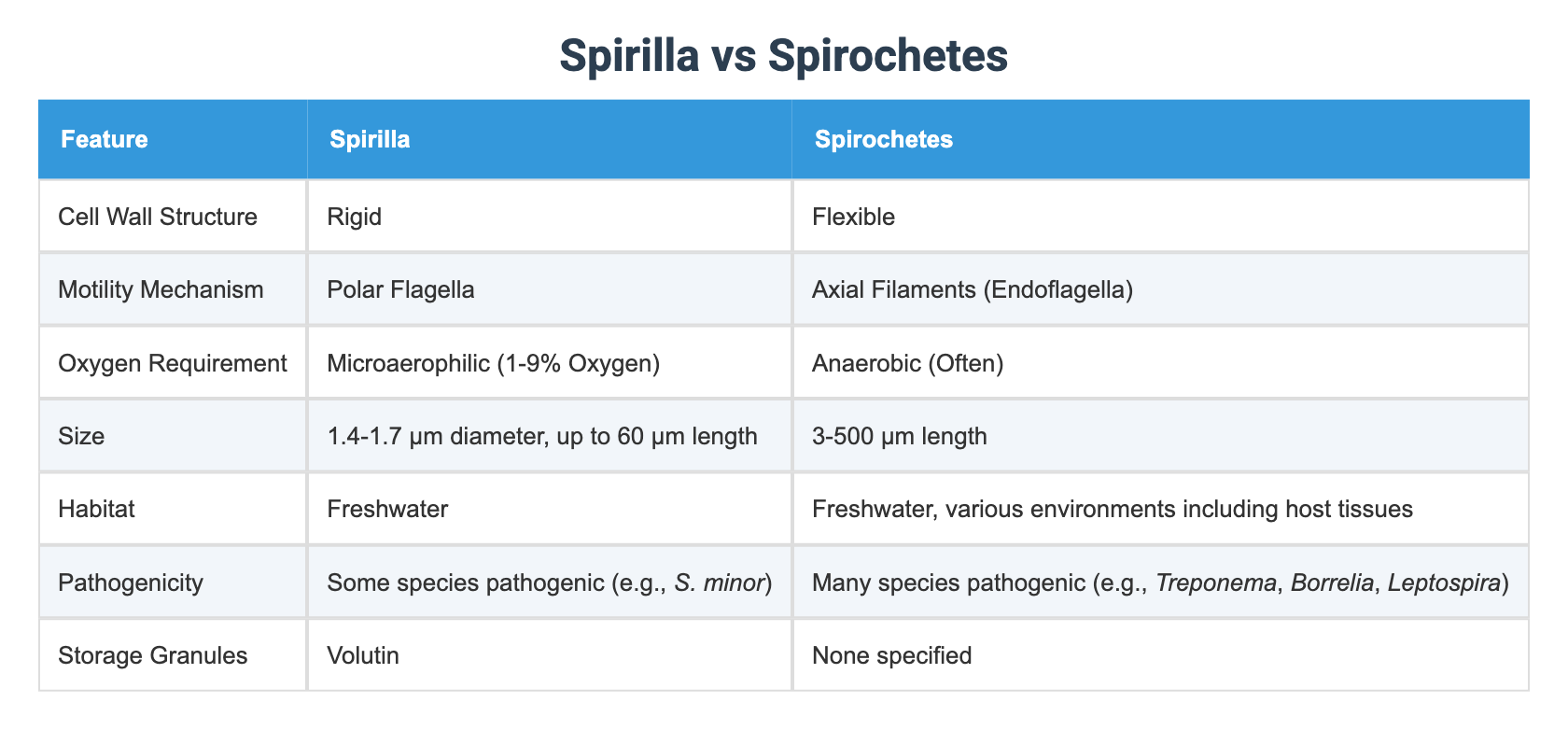 Spirilla vs Spirochetes