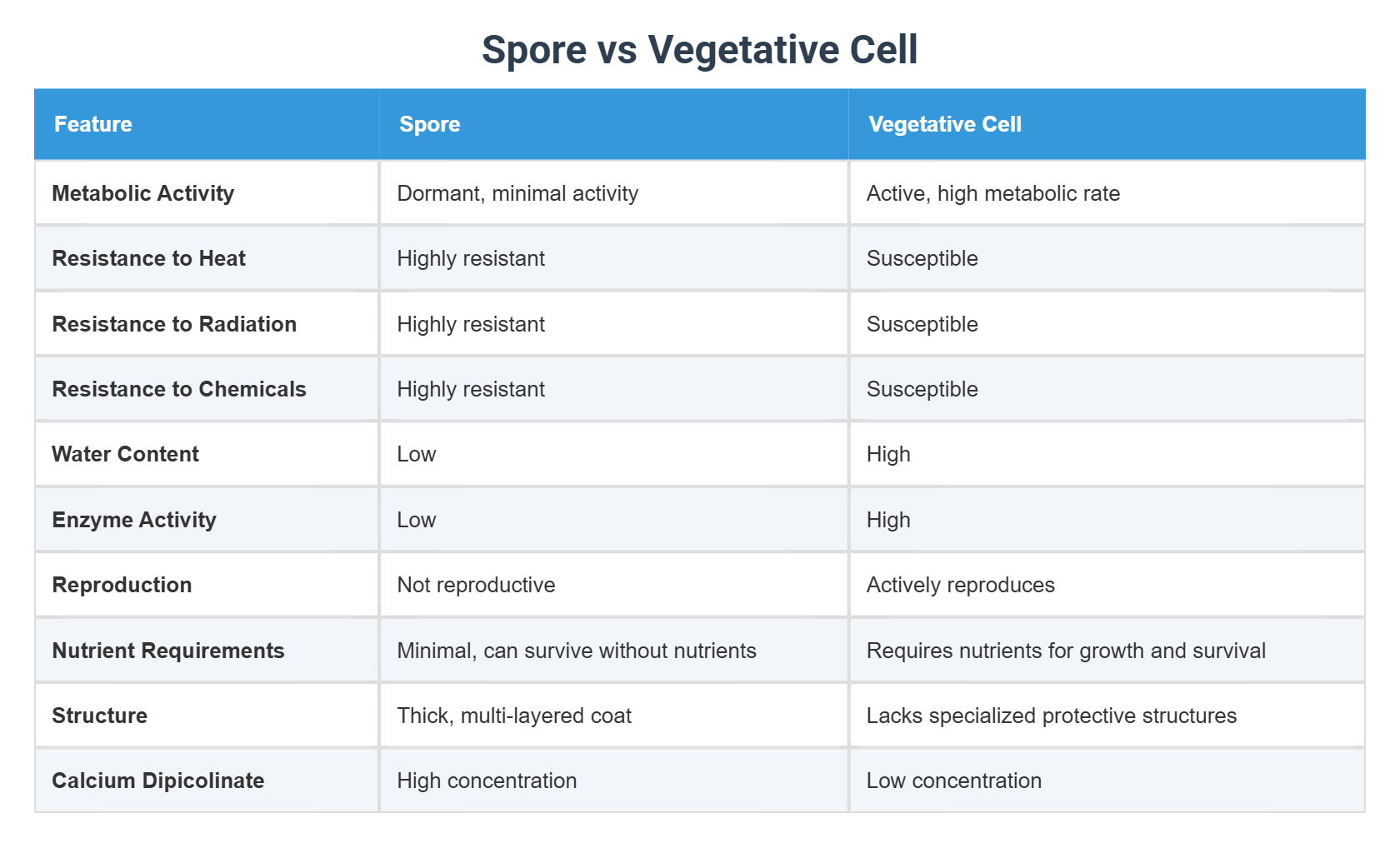Spore vs Vegetative Cell