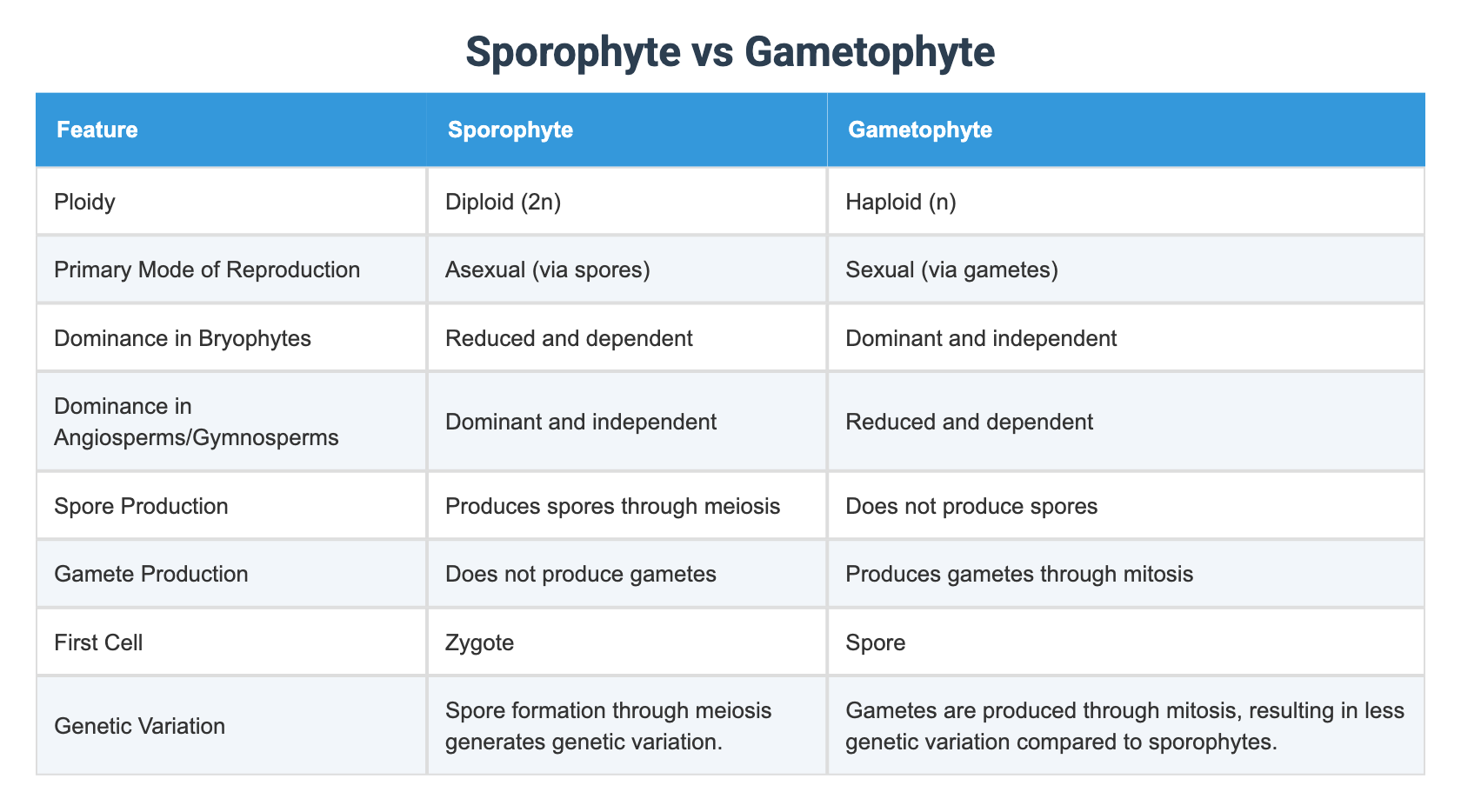 Sporophyte vs Gametophyte