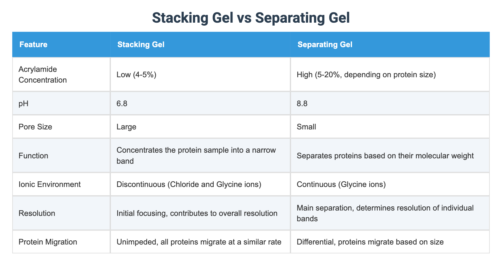 Stacking Gel vs Separating Gel