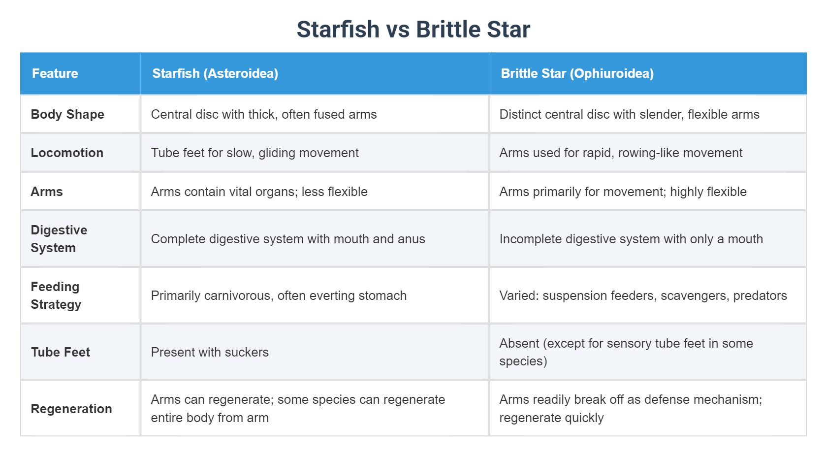 Starfish vs Brittle Star