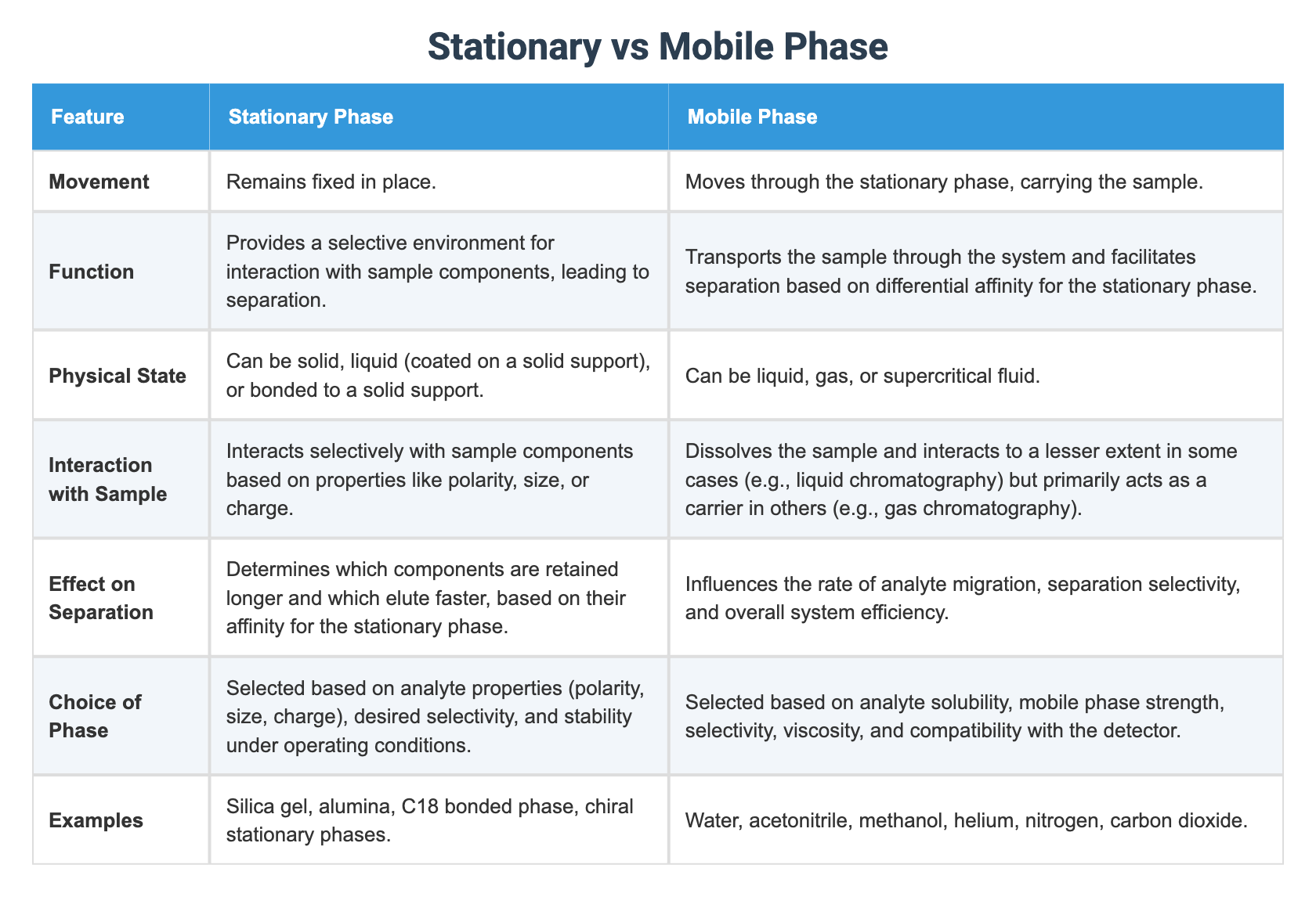Stationary vs Mobile Phase