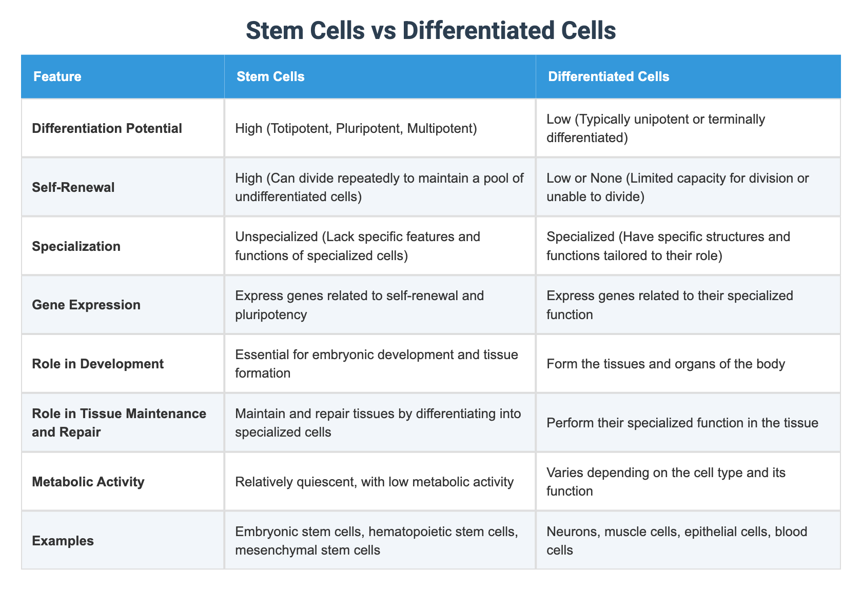 Stem Cells vs Differentiated Cells