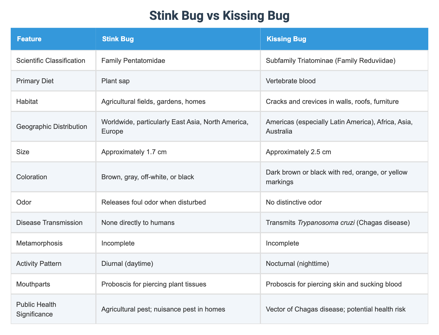 Stink Bug vs Kissing Bug