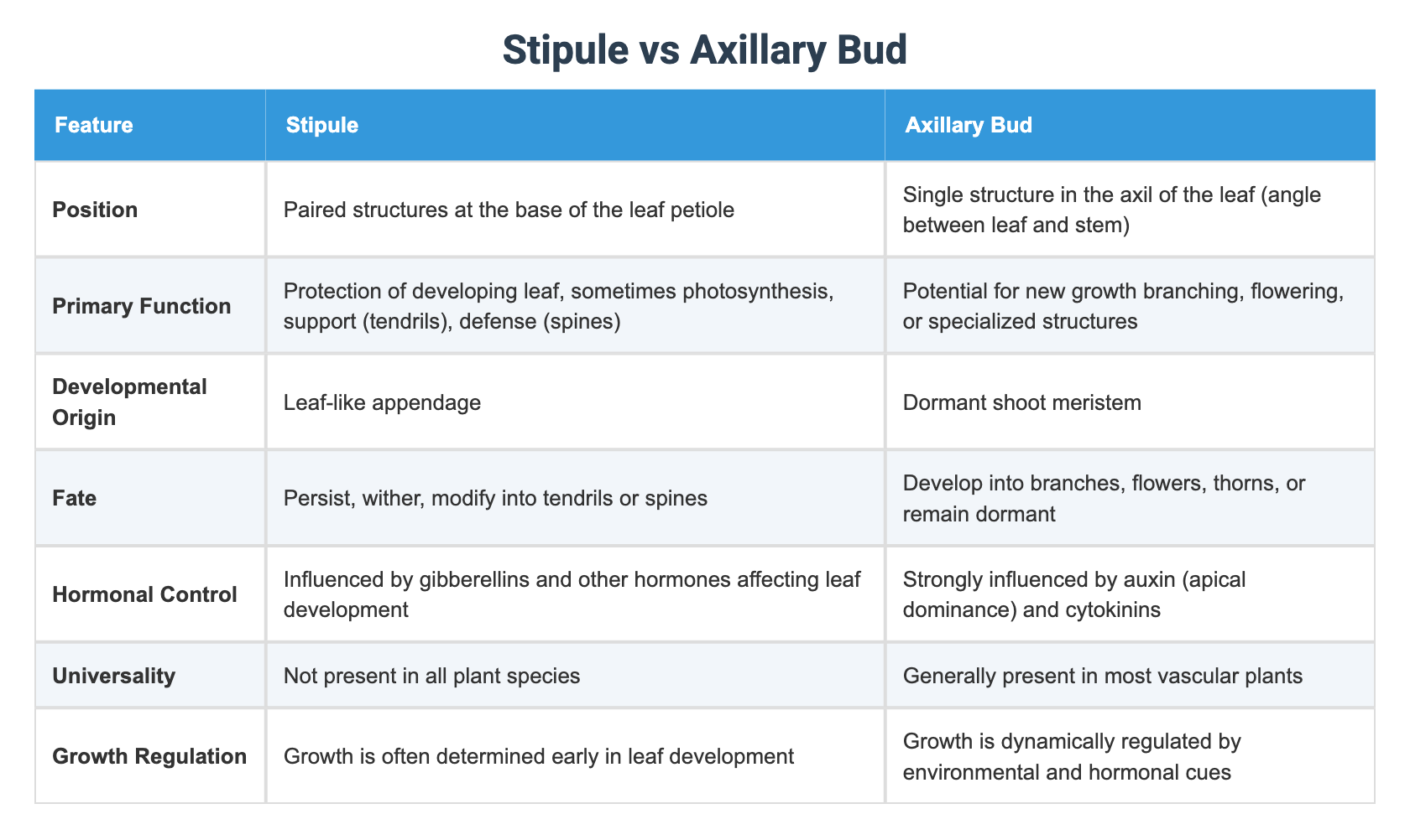 Stipule vs Axillary Bud
