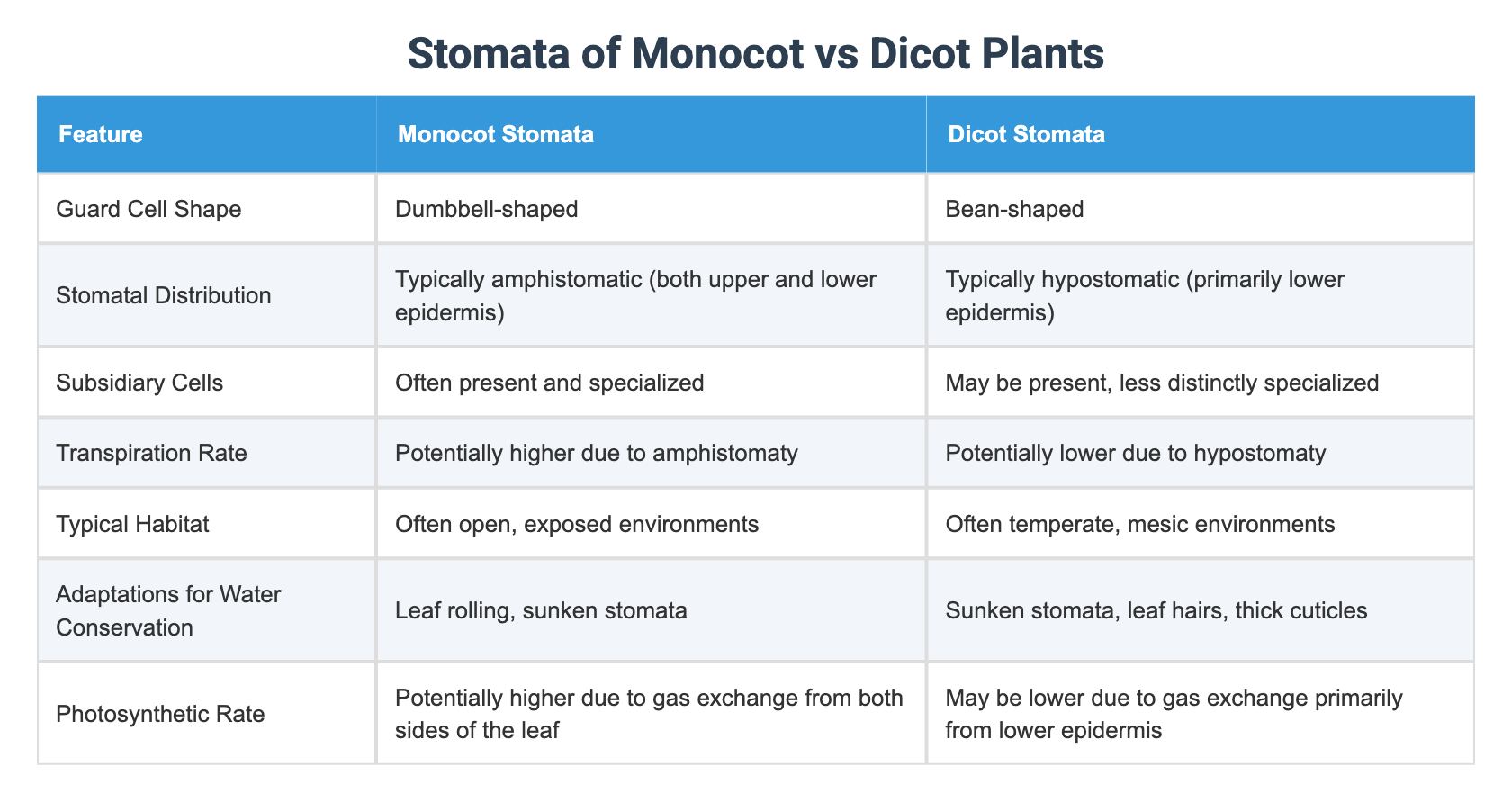 Stomata of Monocot vs Dicot Plants