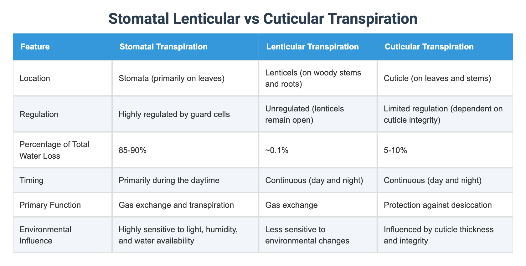 Stomatal Lenticular vs Cuticular Transpiration