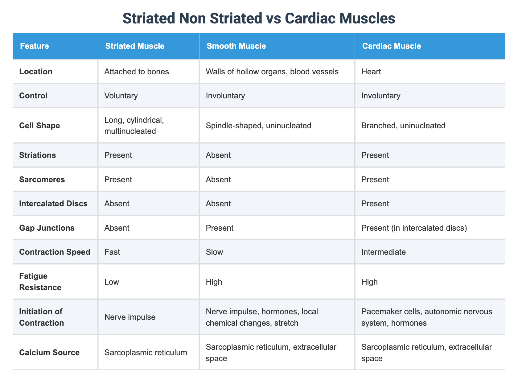 Striated Non Striated vs Cardiac Muscles
