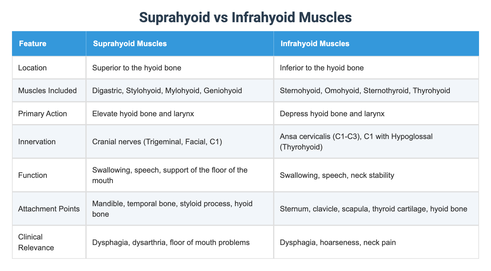Suprahyoid vs Infrahyoid Muscles