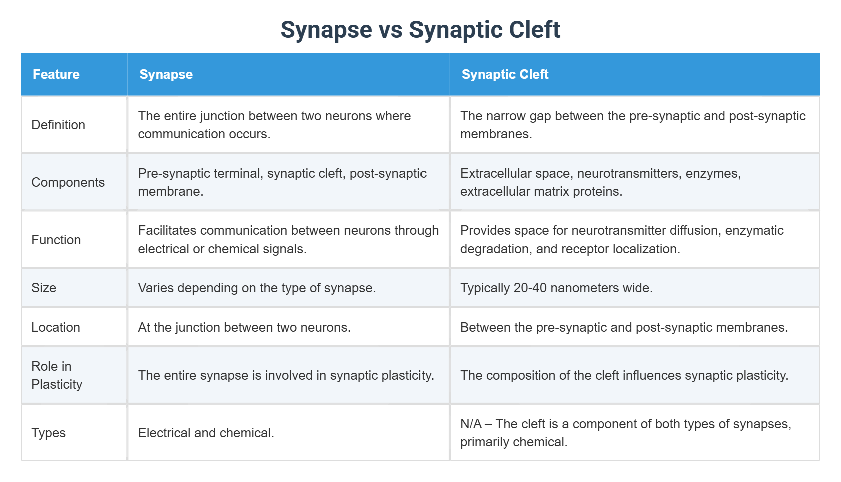 Synapse vs Synaptic Cleft