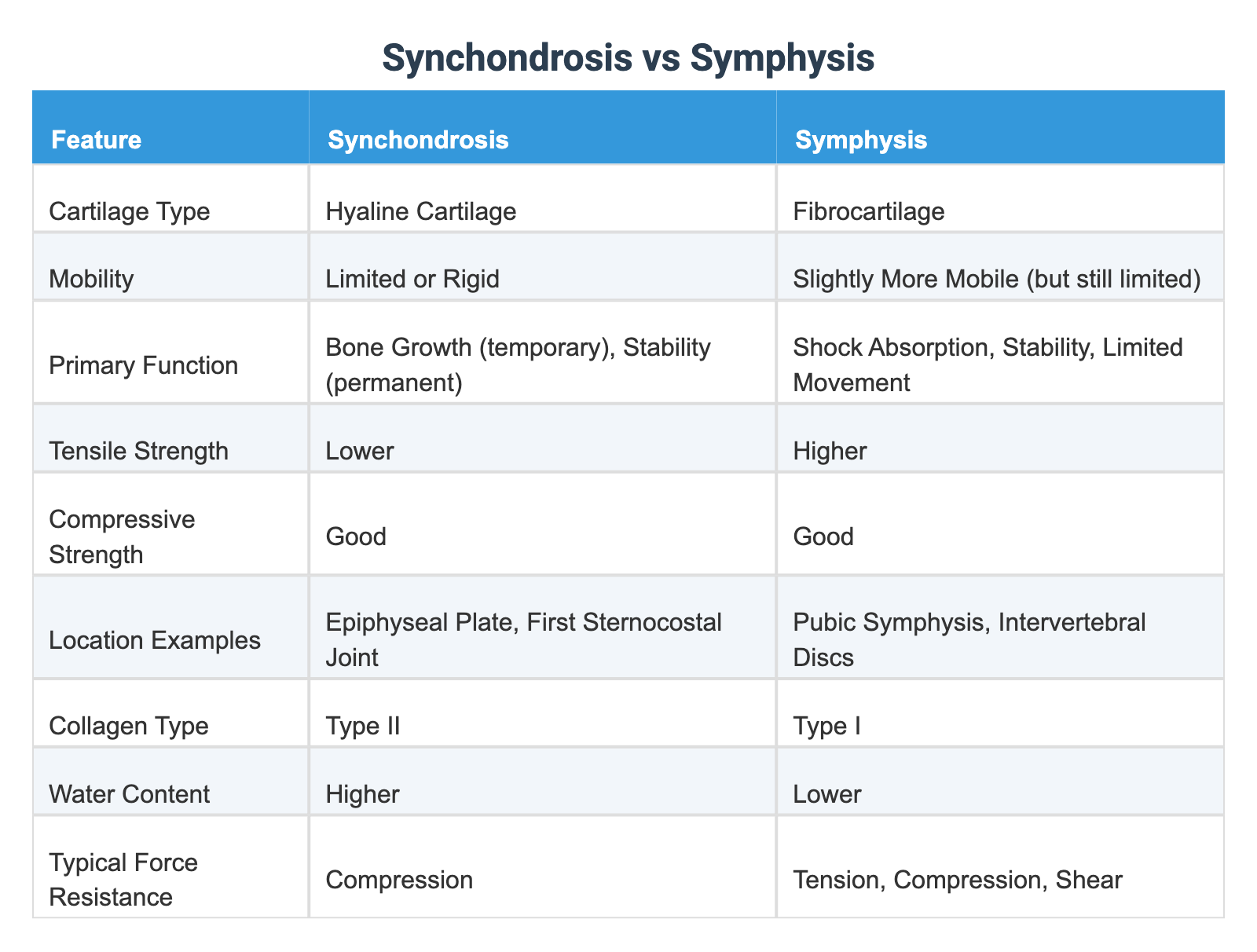 Synchondrosis vs Symphysis