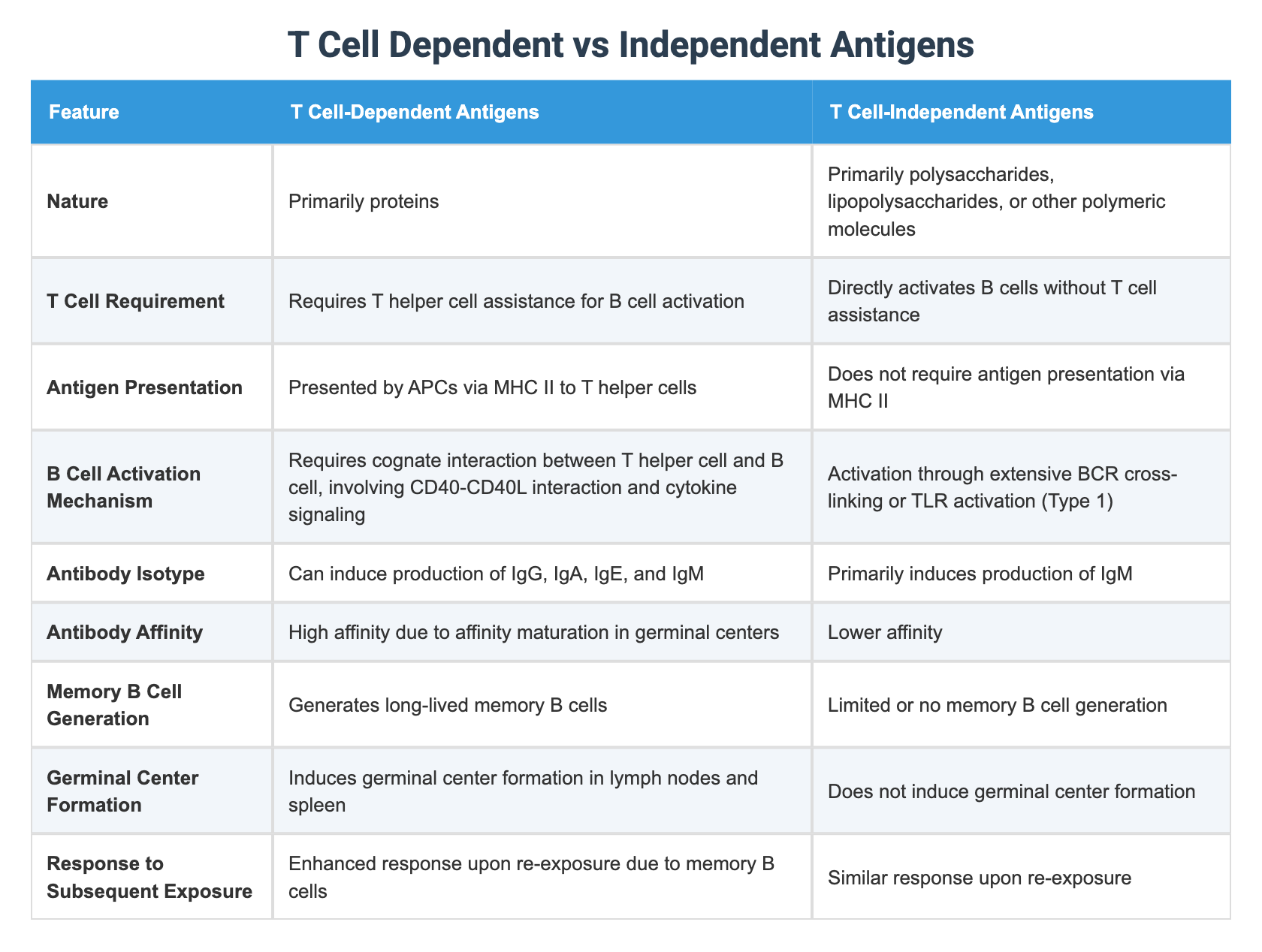 T Cell Dependent vs Independent Antigens