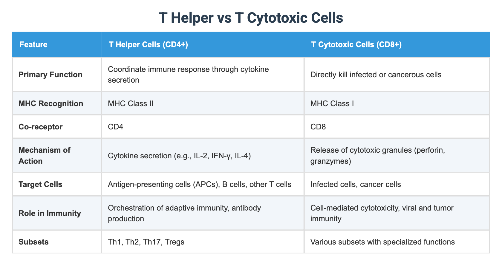 T Helper vs T Cytotoxic Cells