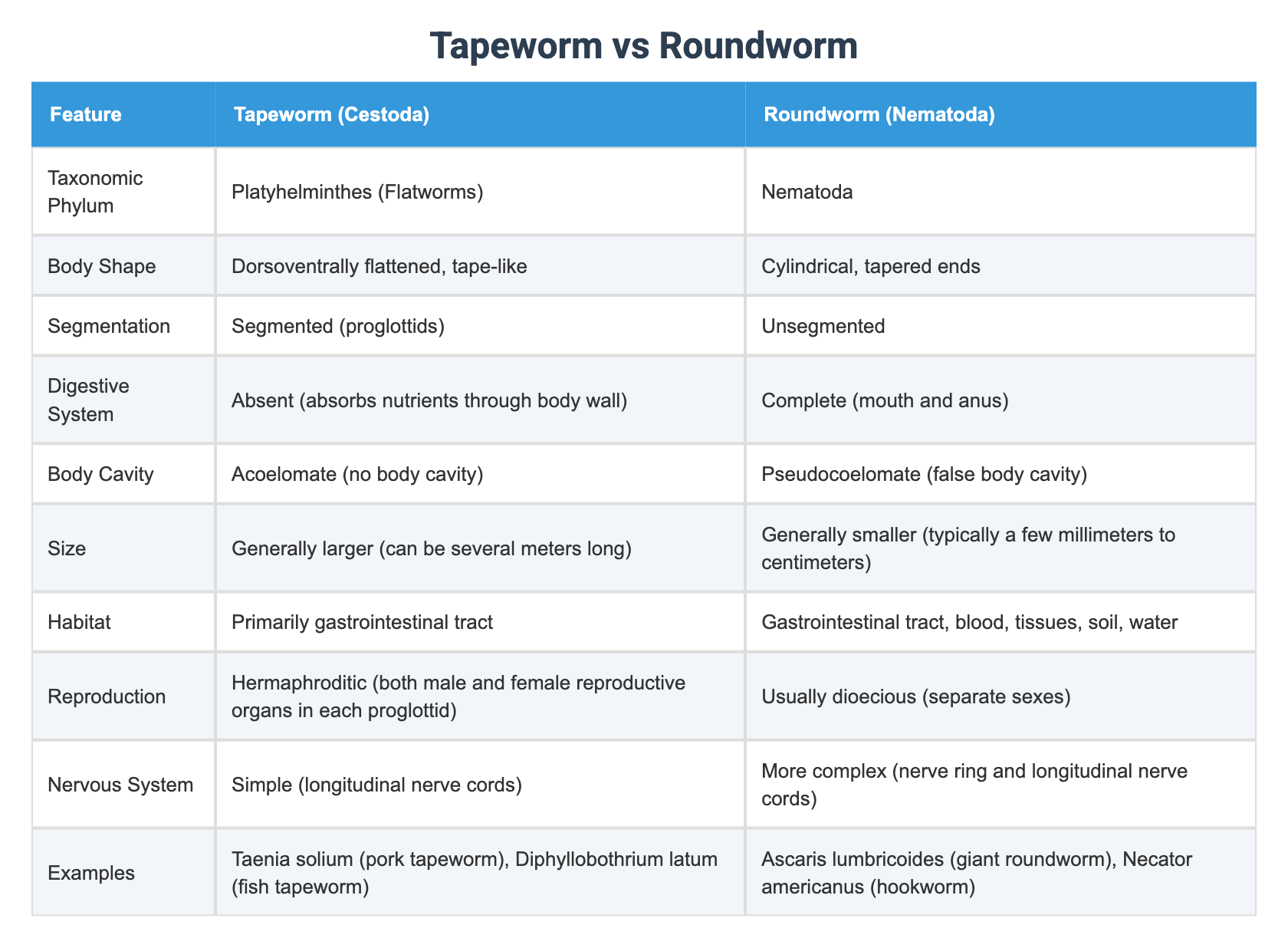 Tapeworm vs Roundworm