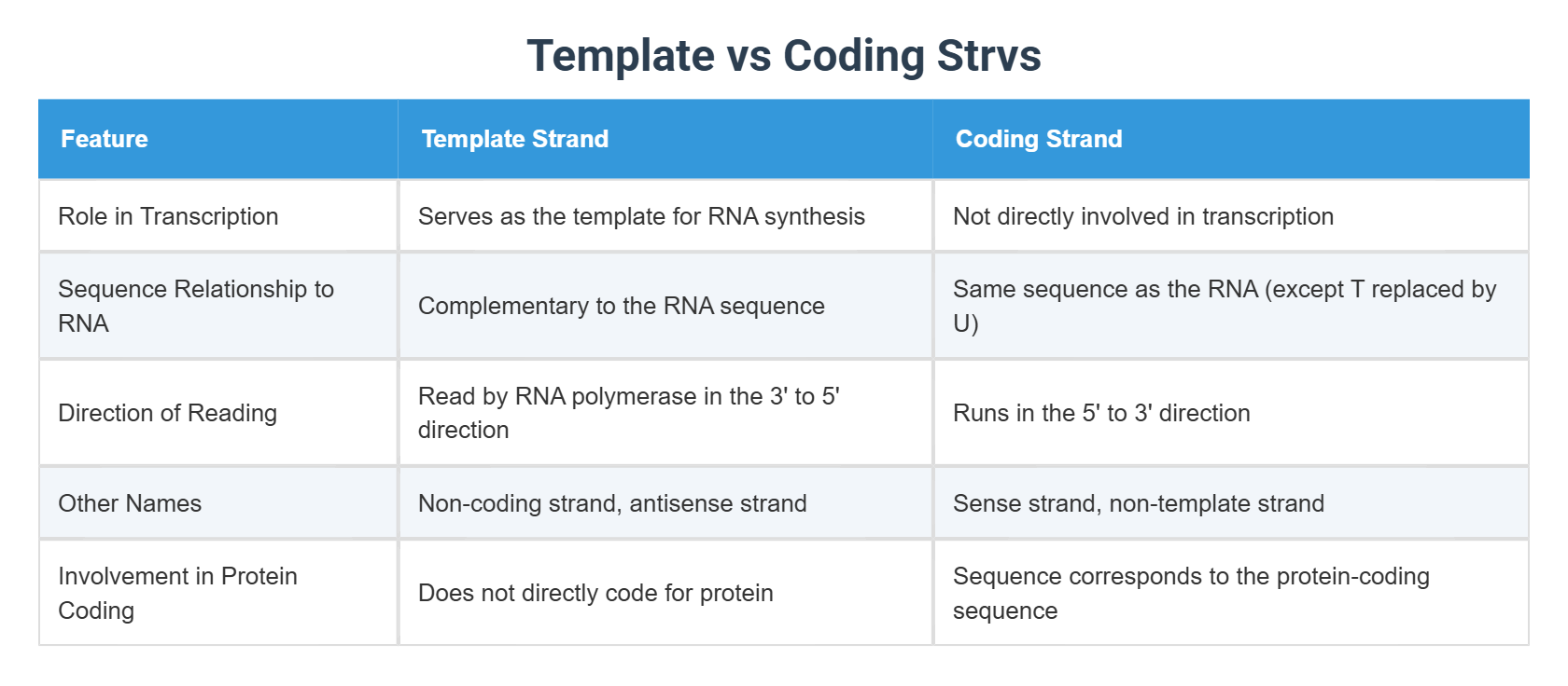 Template vs Coding Strvs