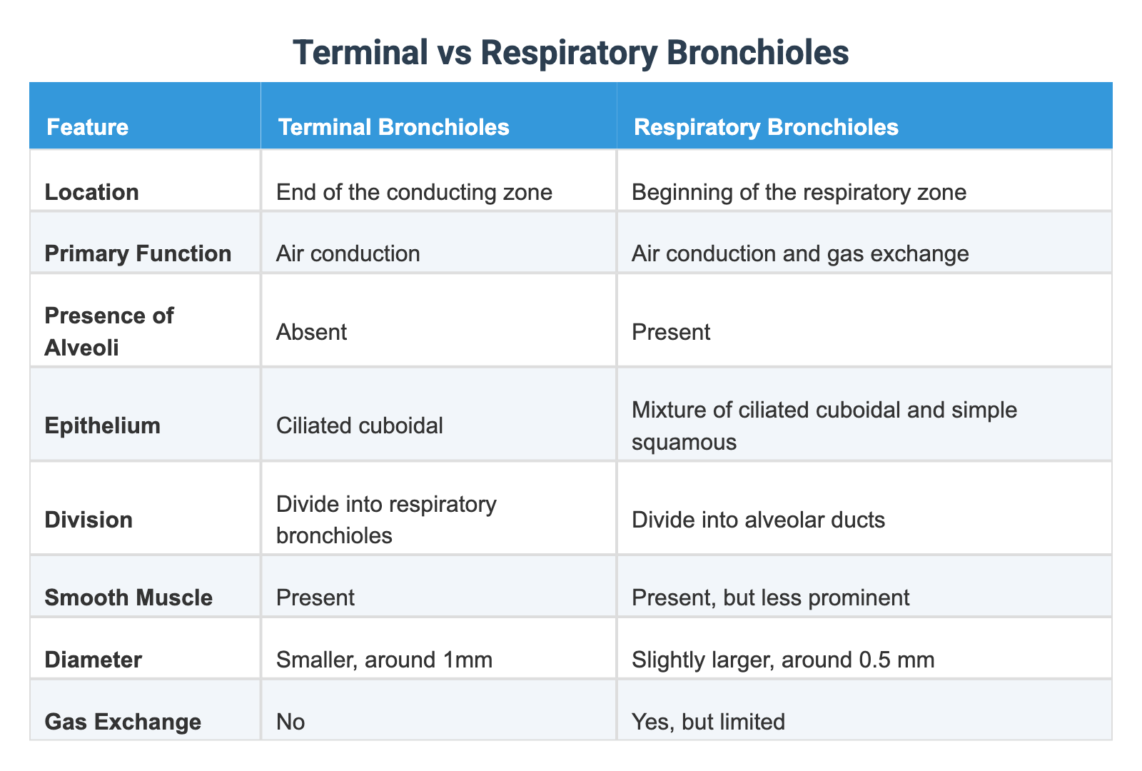 Terminal vs Respiratory Bronchioles
