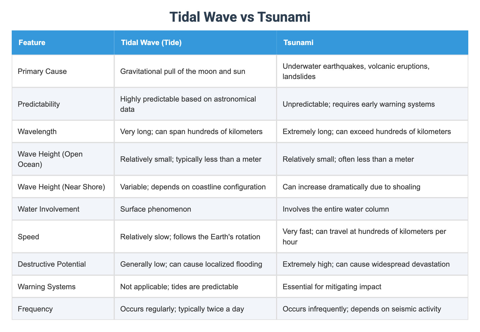 Tidal Wave vs Tsunami