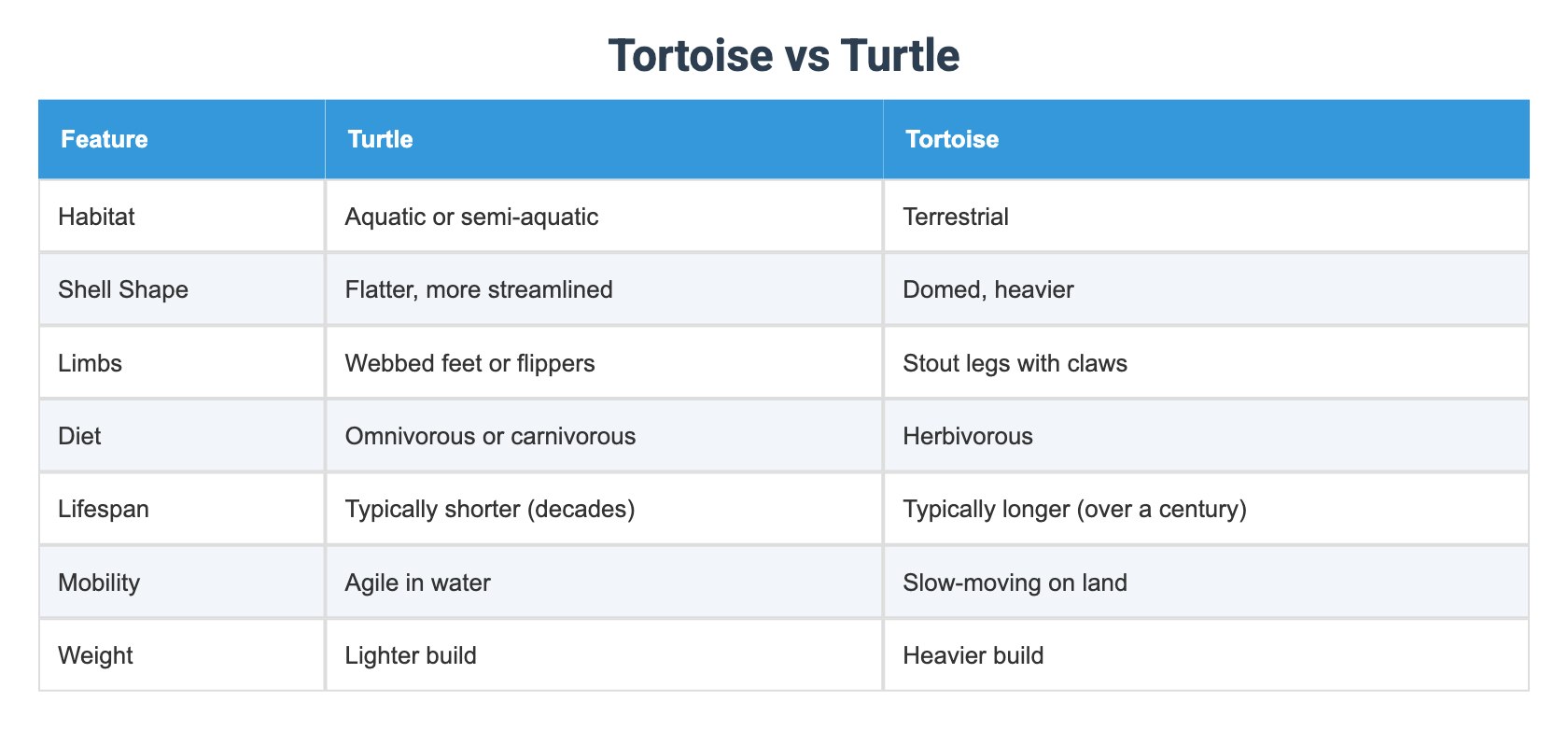 Tortoise vs Turtle