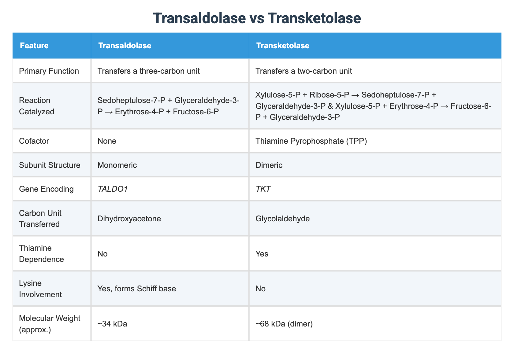 Transaldolase vs Transketolase