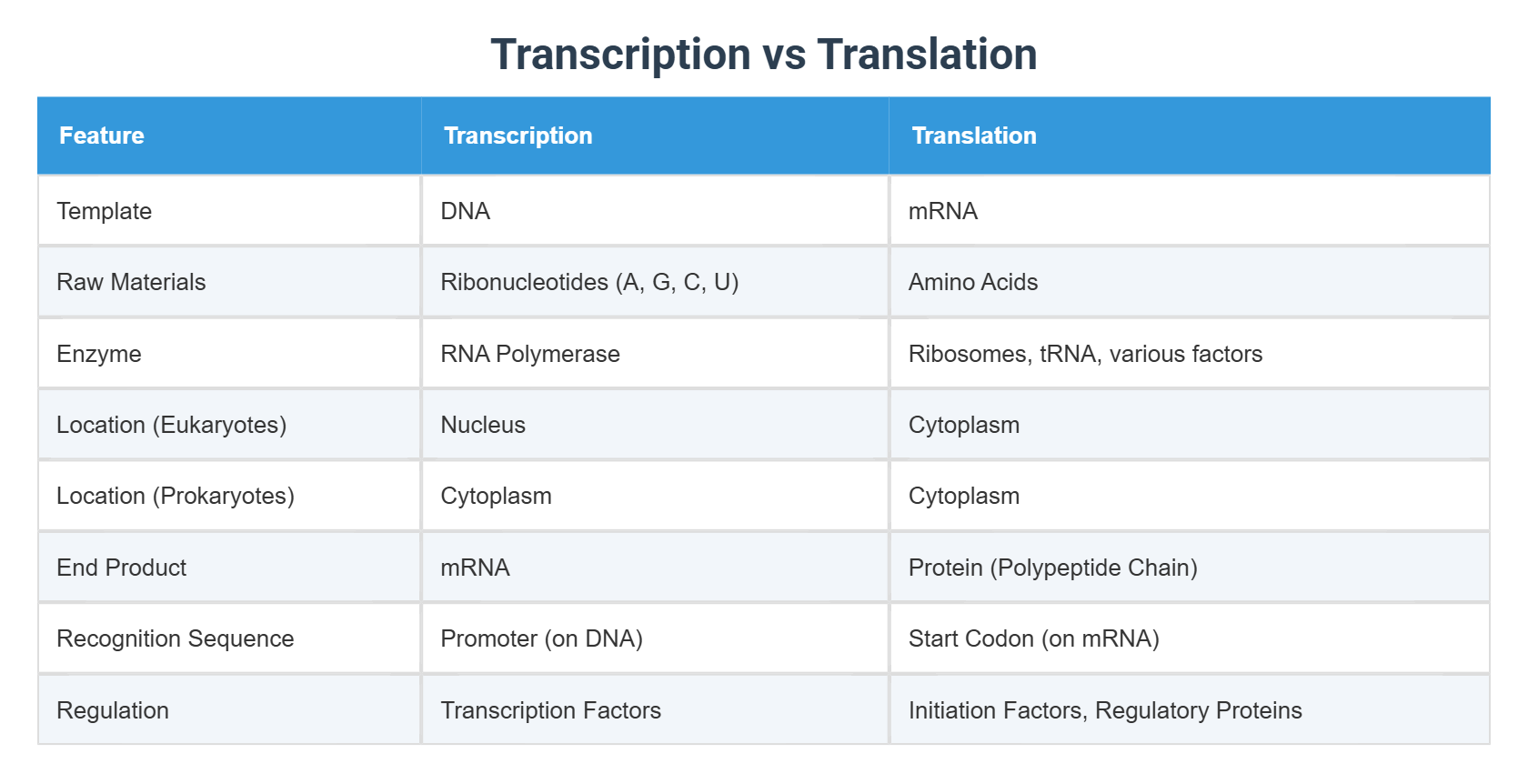 Transcription vs Translation